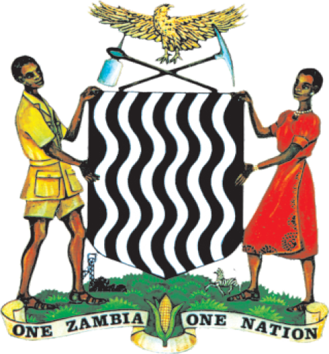 2024 Annual Progress Report - 2024-annual-progress-report - Zambia ...